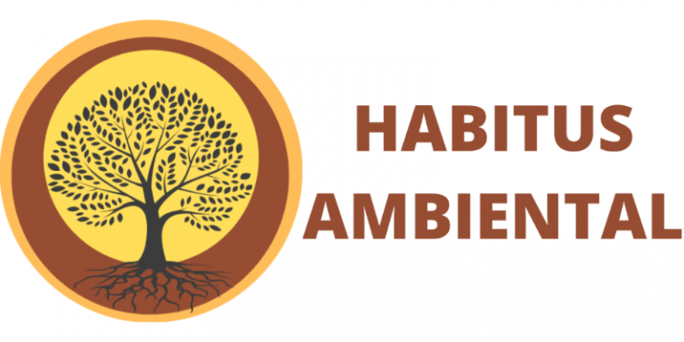 Preservação do meio ambiente: o que podemos fazer para ajudar ...
